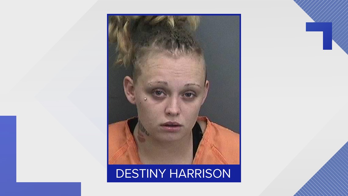 Woman accused of shooting at Duke Energy truck during road rage on I ...