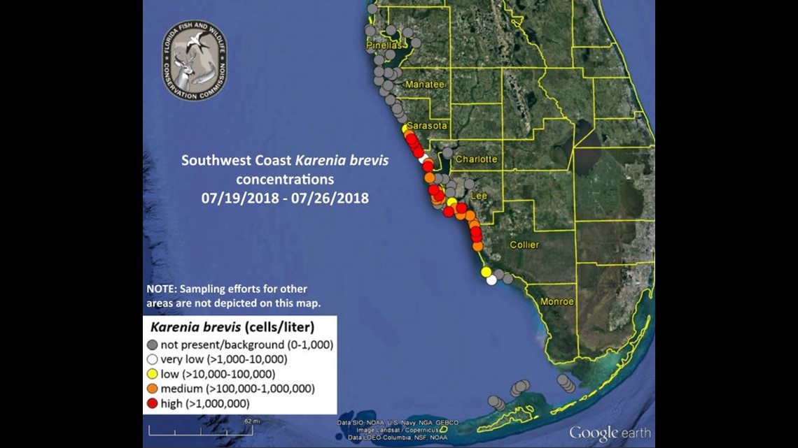 High red tide levels result in respiratory irritation, fish kills in ...