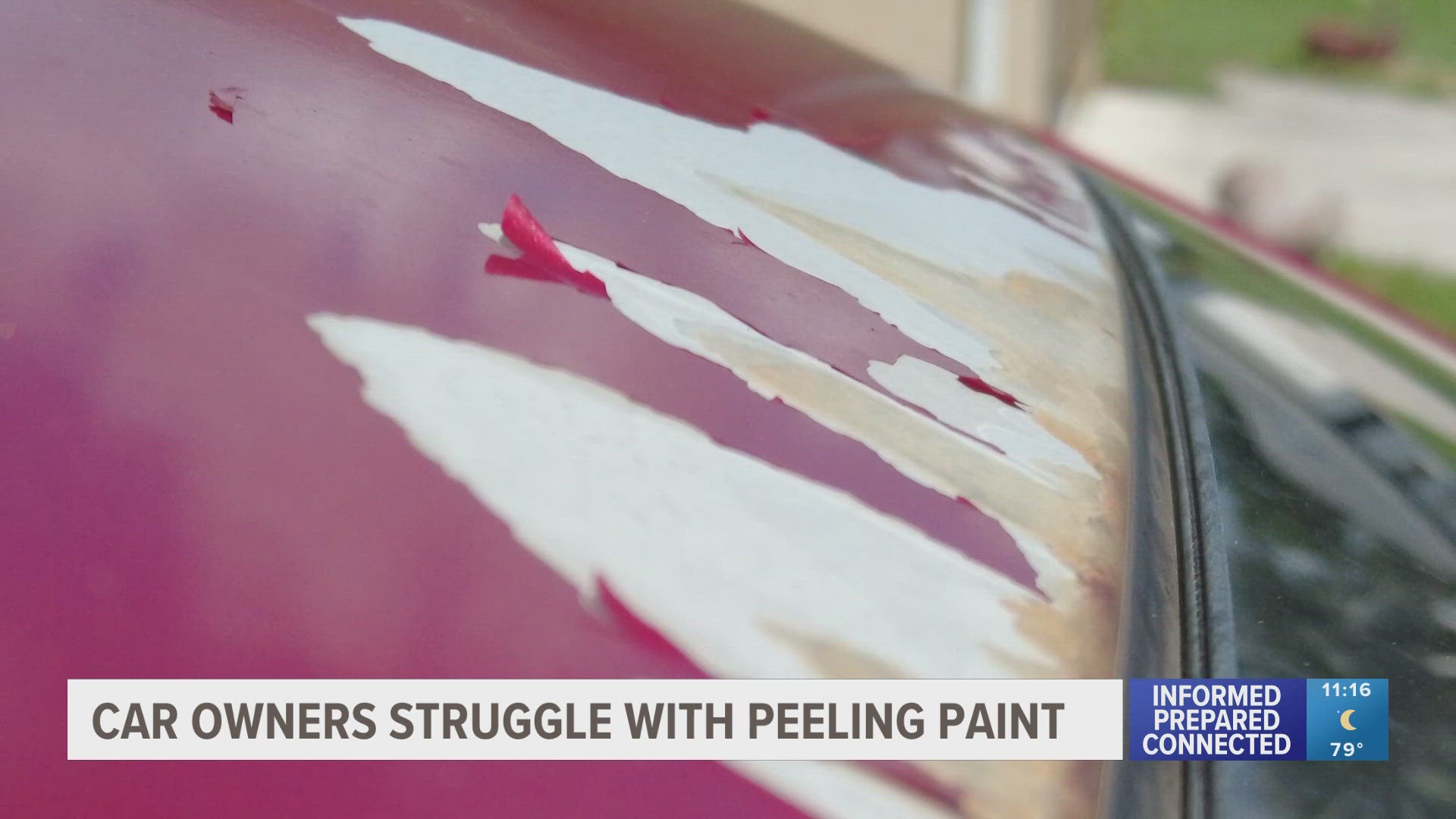 Thousands of Florida drivers report car paint peeling off in sheets ...