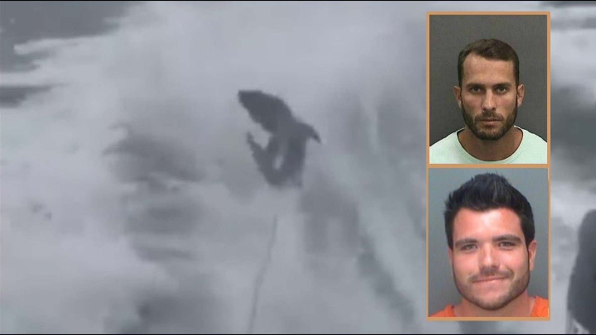 Experts unable to determine if shark was alive when dragged behind boat ...