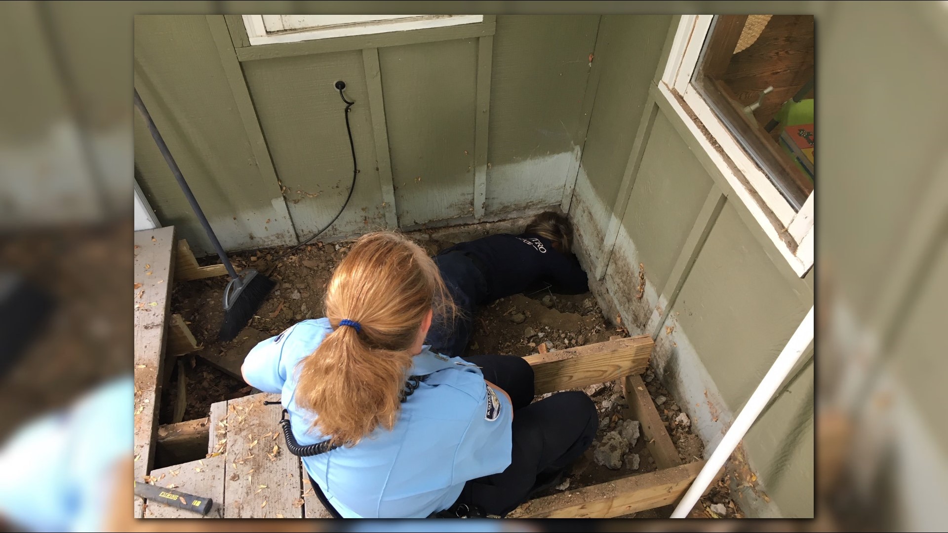 Dog trapped under house in Centennial; rescue underway | wtsp.com