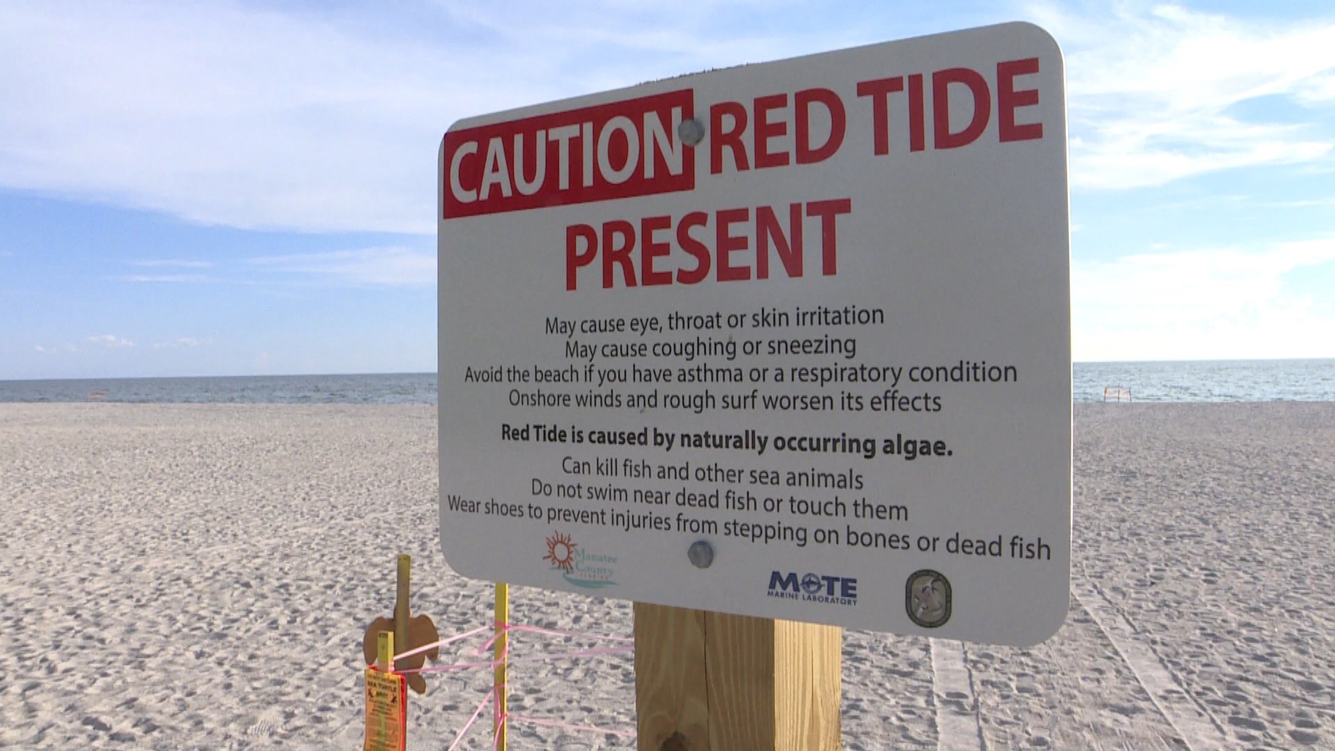 Amid red tide, 8 ways to reduce your personal nutrient pollution | wtsp.com
