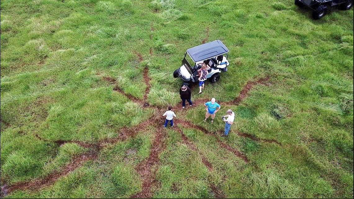 Lightning strike leaves shocking mark in Highlands County | wtsp.com