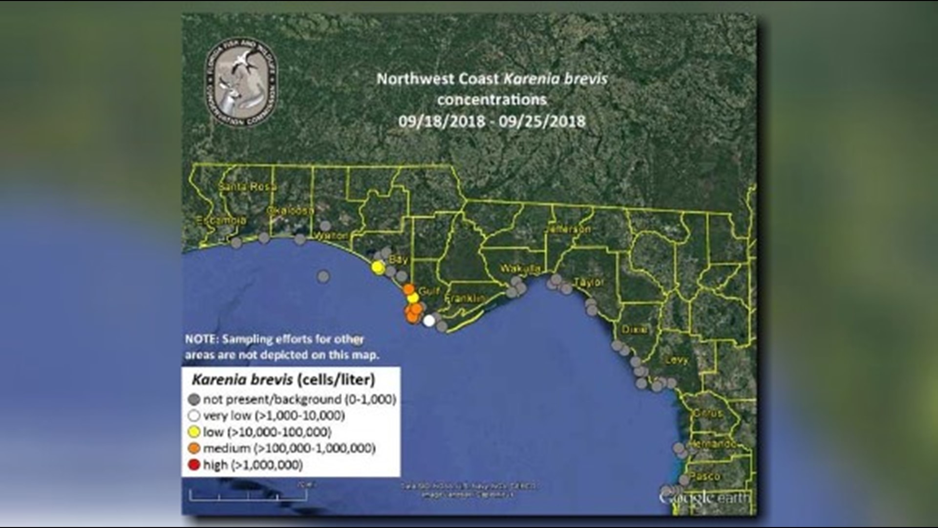 Florida's red tide bloom isn't budging from Southwest coast, new FWC ...