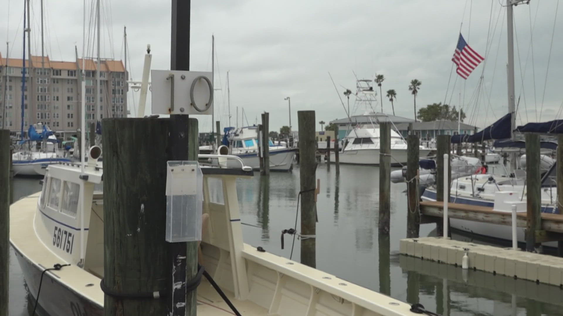 Dunedin Marina reopening discussed by city leaders | wtsp.com