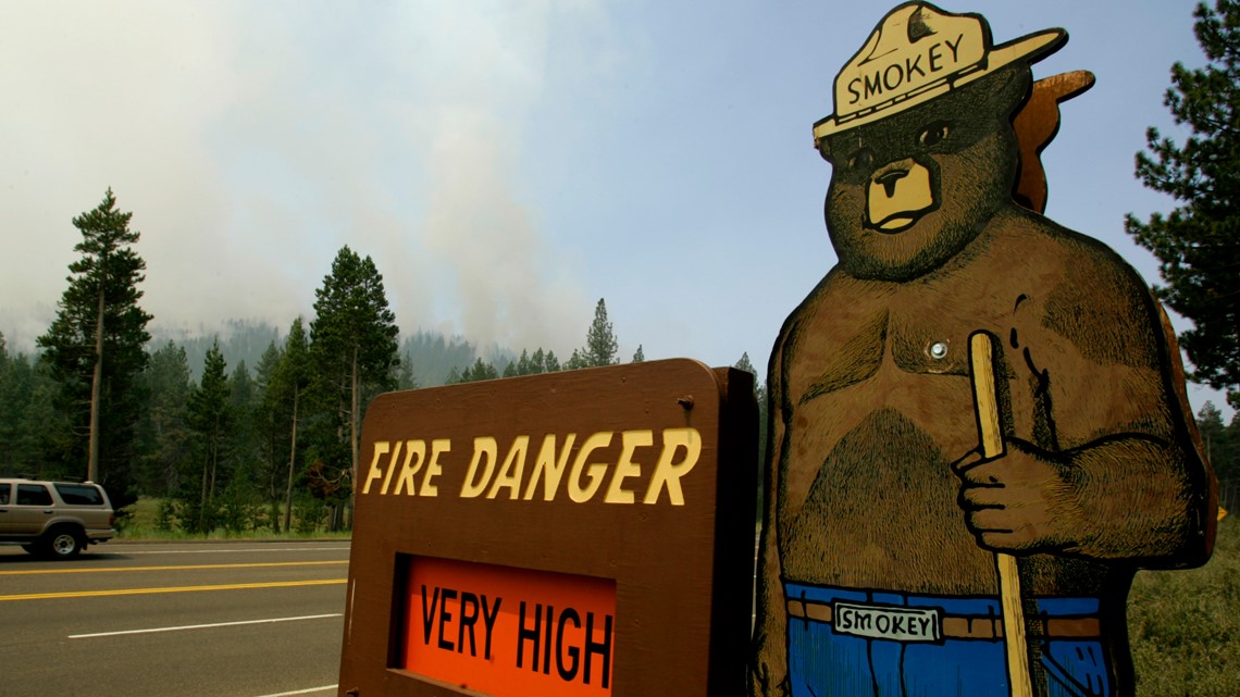 US Forest Service's Smokey Bear turns 75 | wtsp.com