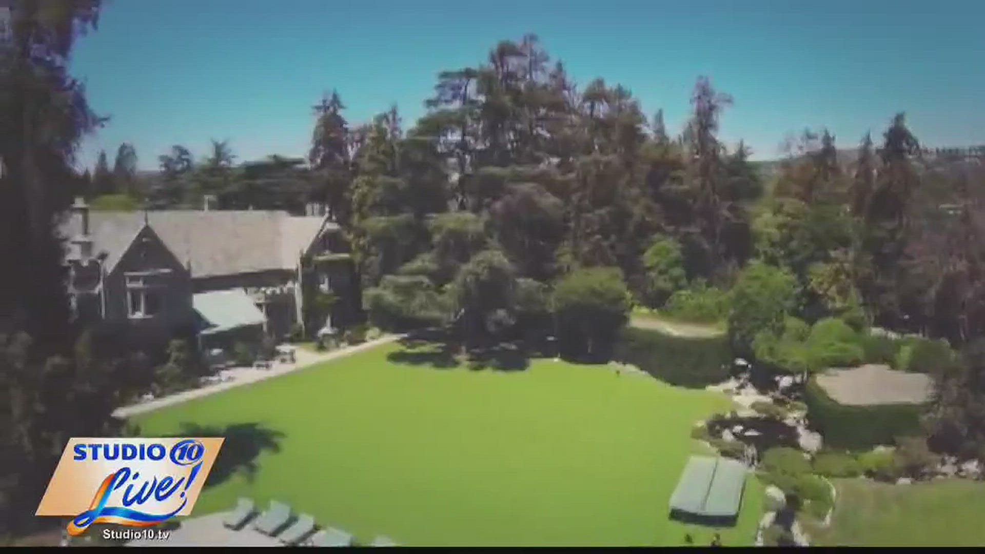 Playboy bunny reunion on Studio 10 Live! | wtsp.com