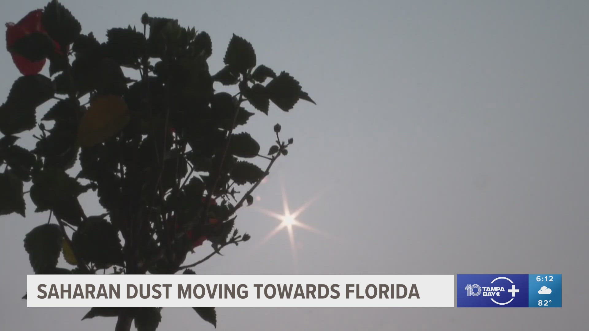 Saharan dust plume reaches Florida, bringing both spectacular skies and ...