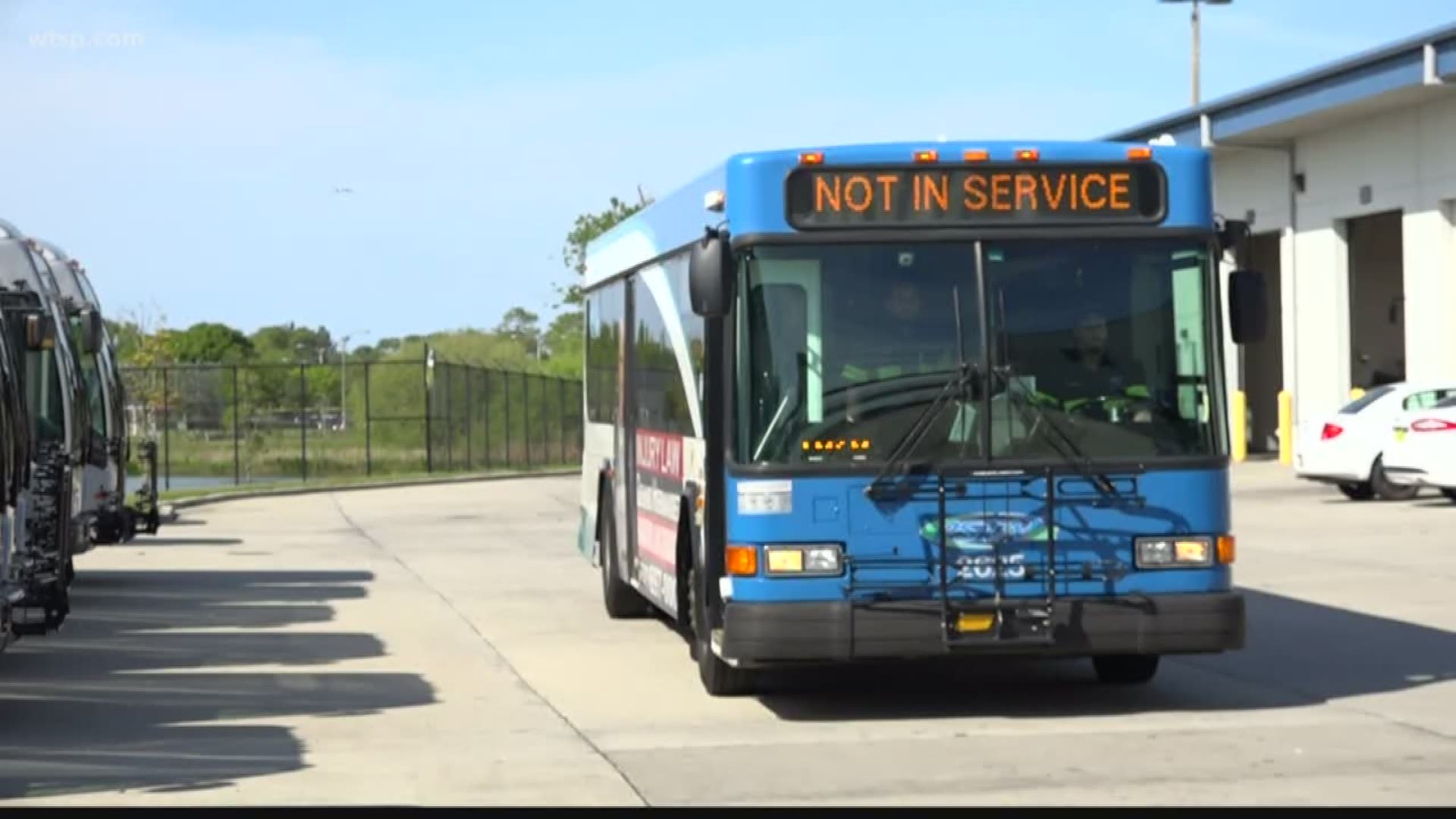 How PSTA bus service cuts could affect hundreds of people | wtsp.com