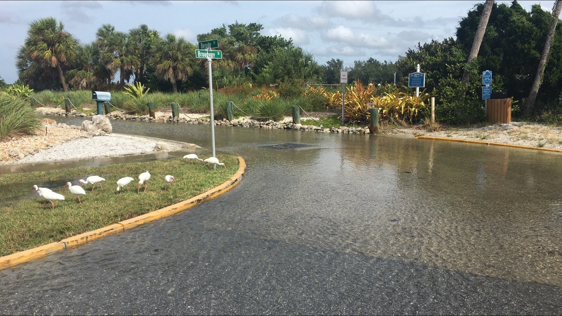 Photos: High tide and storm surge causes flooding in Longboat Key, St ...