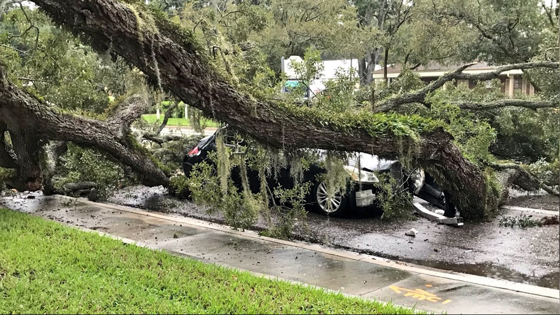 Woman crawls to escape car crushed by tree in Tampa | wtsp.com