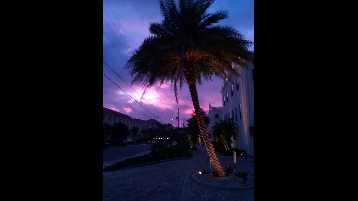 Photos: Florida sky turns purple after Hurricane Michael passes | wtsp.com