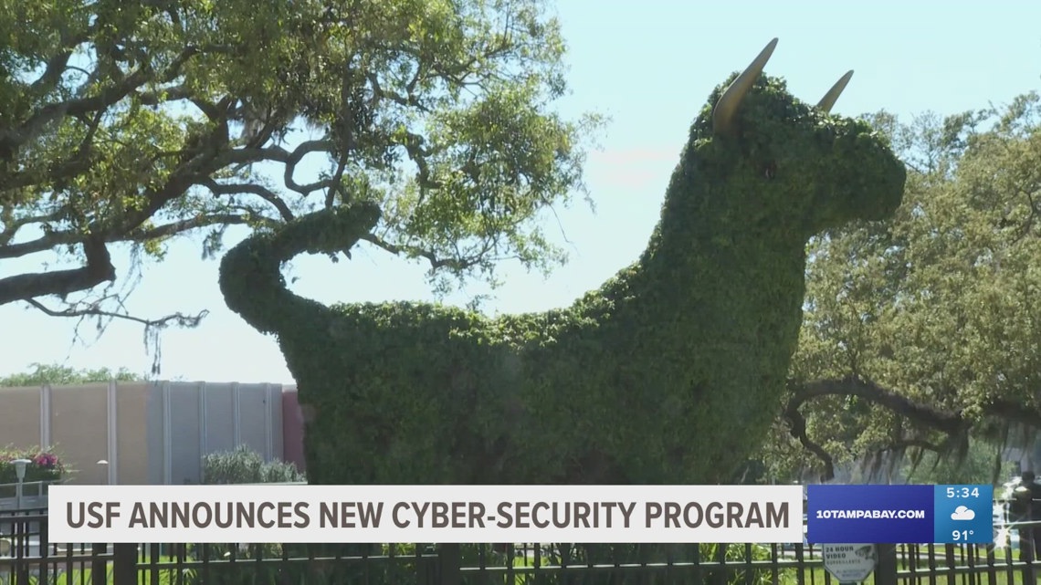 New cyber-security program at USF | wtsp.com