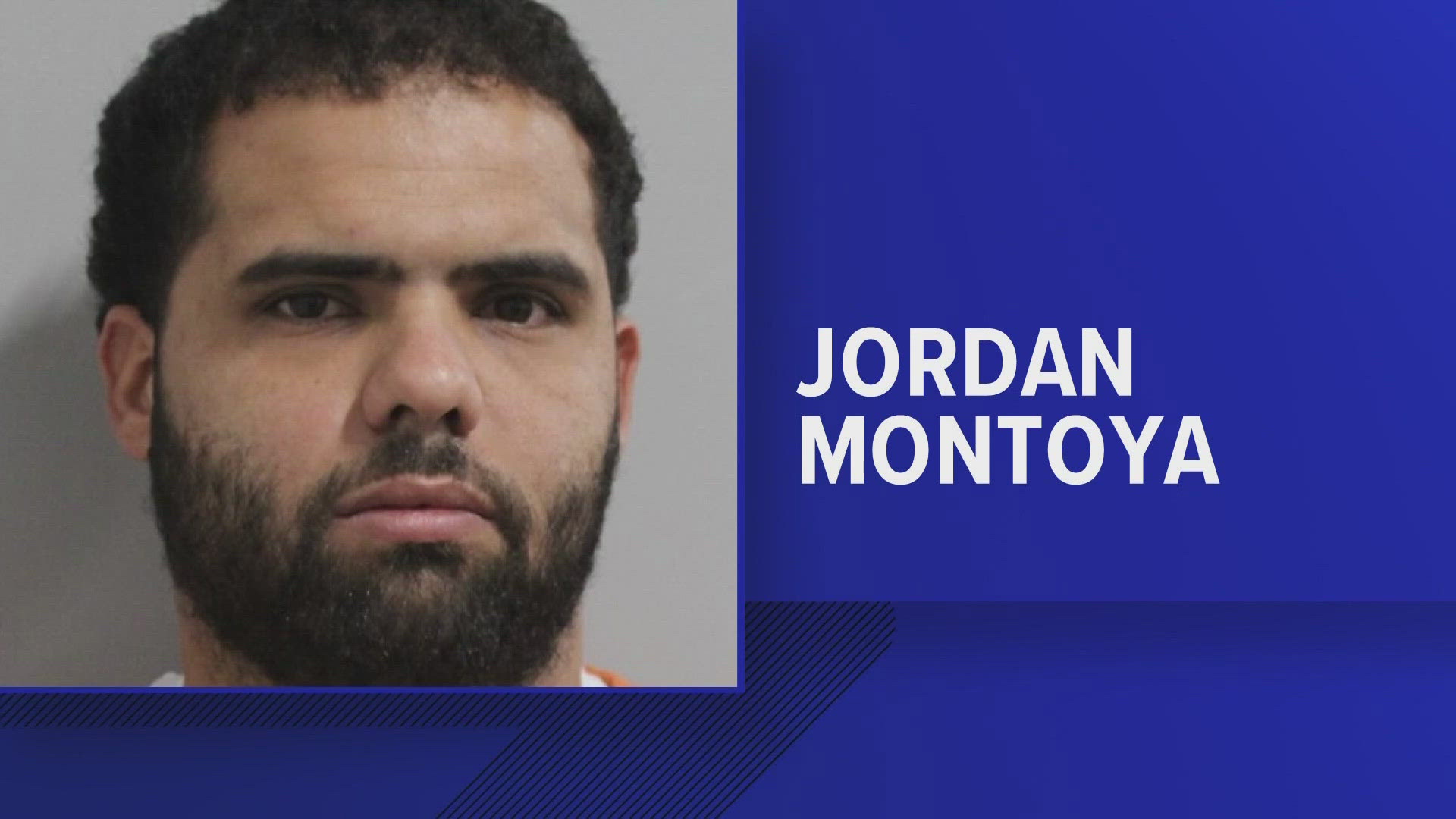 Remaining suspect in Lakeland swan theft arrested | wtsp.com