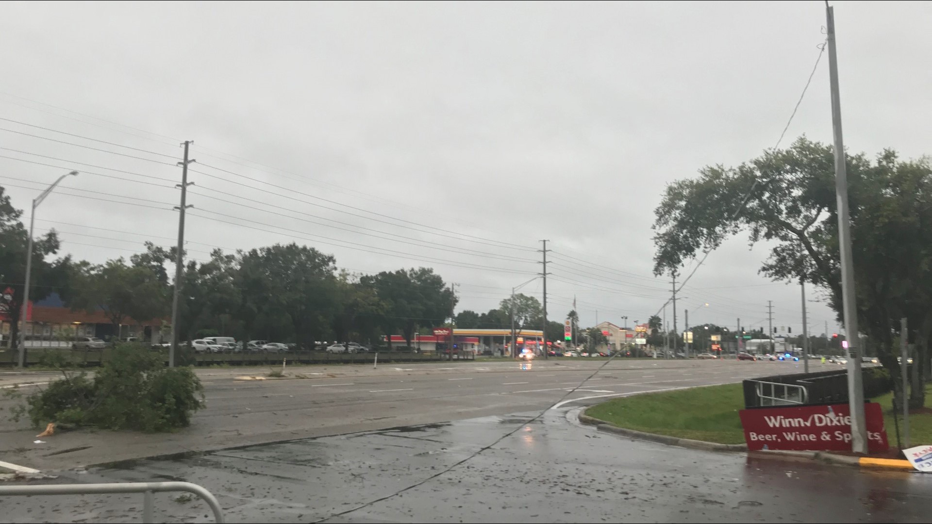 PHOTOS: Severe storm damage across Tampa Bay | wtsp.com
