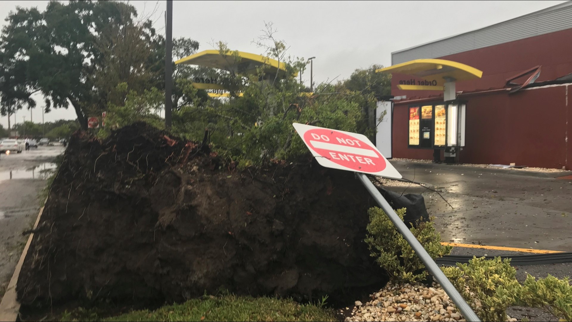 PHOTOS: Severe storm damage across Tampa Bay | wtsp.com