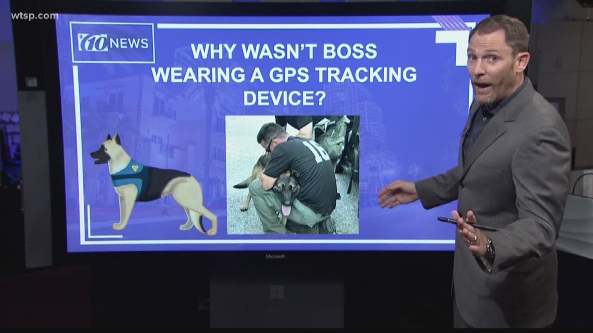 Why wasn't lost Manatee County K-9 wearing a GPS tracking device ...