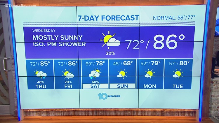 How dangerous are the New Guinea flatworms popping up across Florida ...