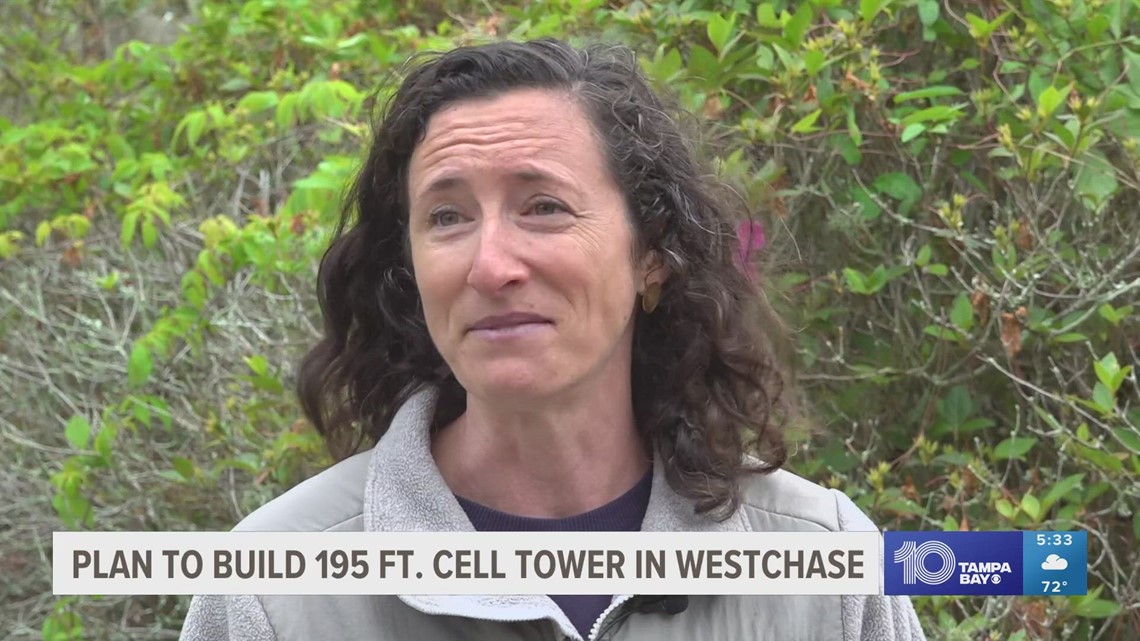 Neighbors push back on plans to build 195-foot cell tower in Westchase ...