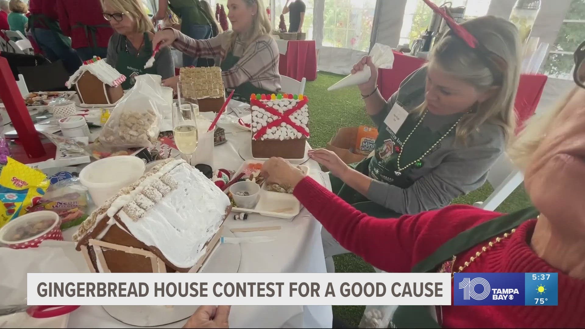 This artist builds gingerbread houses for a good cause | wtsp.com
