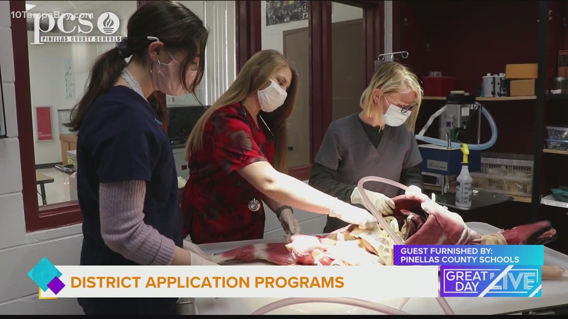 More School Choices for Children | wtsp.com