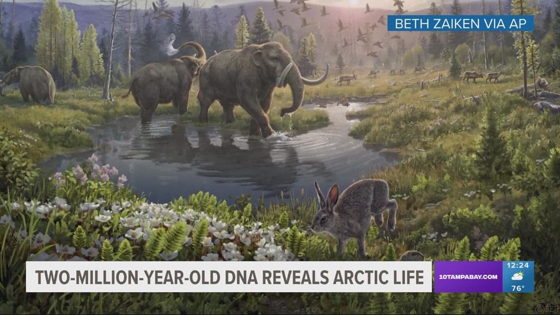 DNA reveals what the Arctic looked like 2 million years ago | wtsp.com