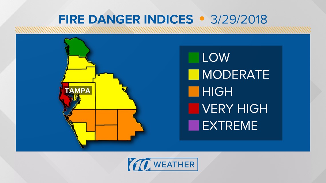 Florida's wildfire season is here: What you need to know | wtsp.com