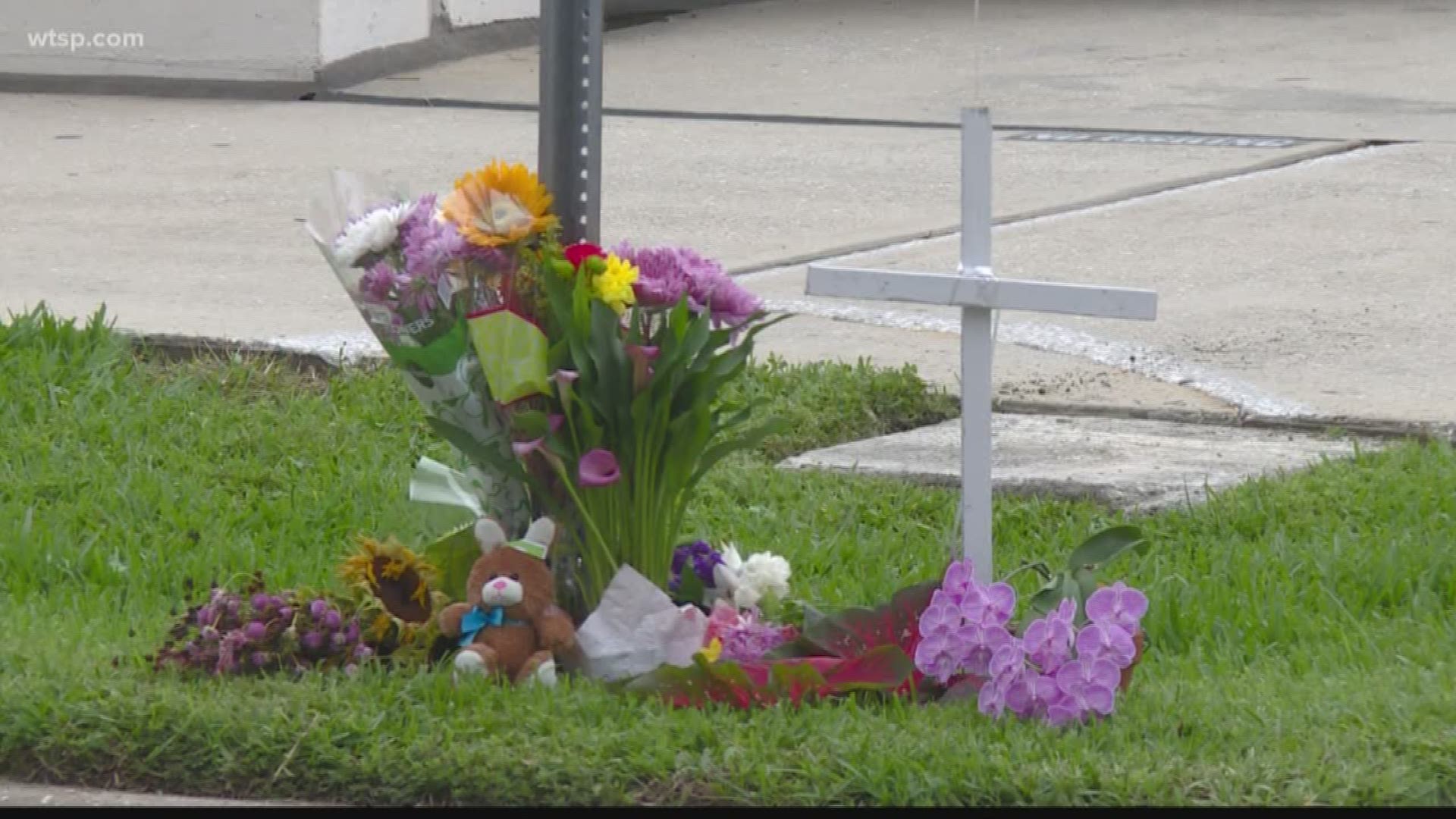 Driver who bonded out of jail following Bayshore racing death re ...