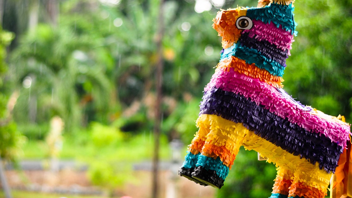 'Adult' pinata filled with booze instead of candy | wtsp.com