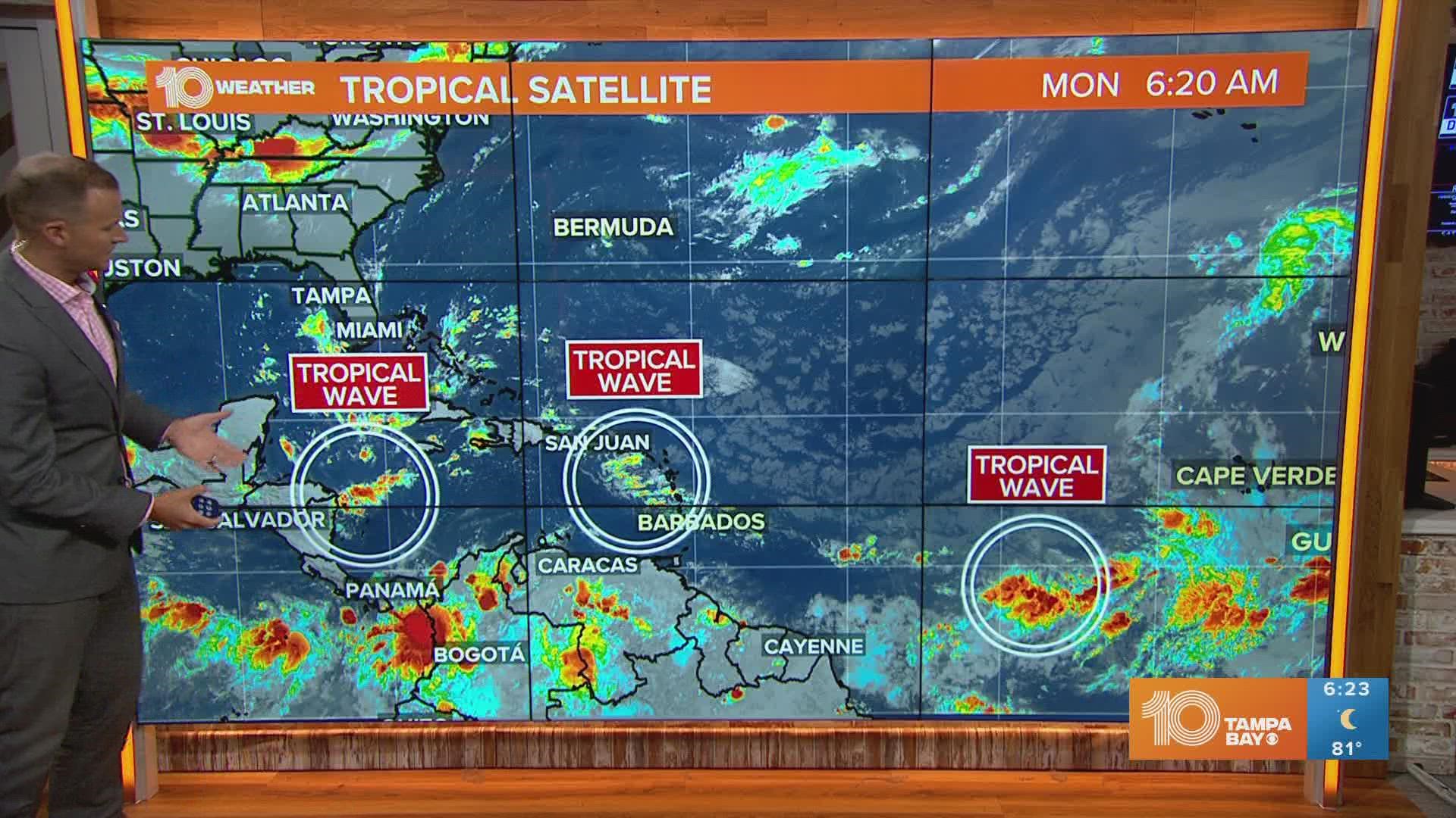 Jennifer Titus | wtsp.com