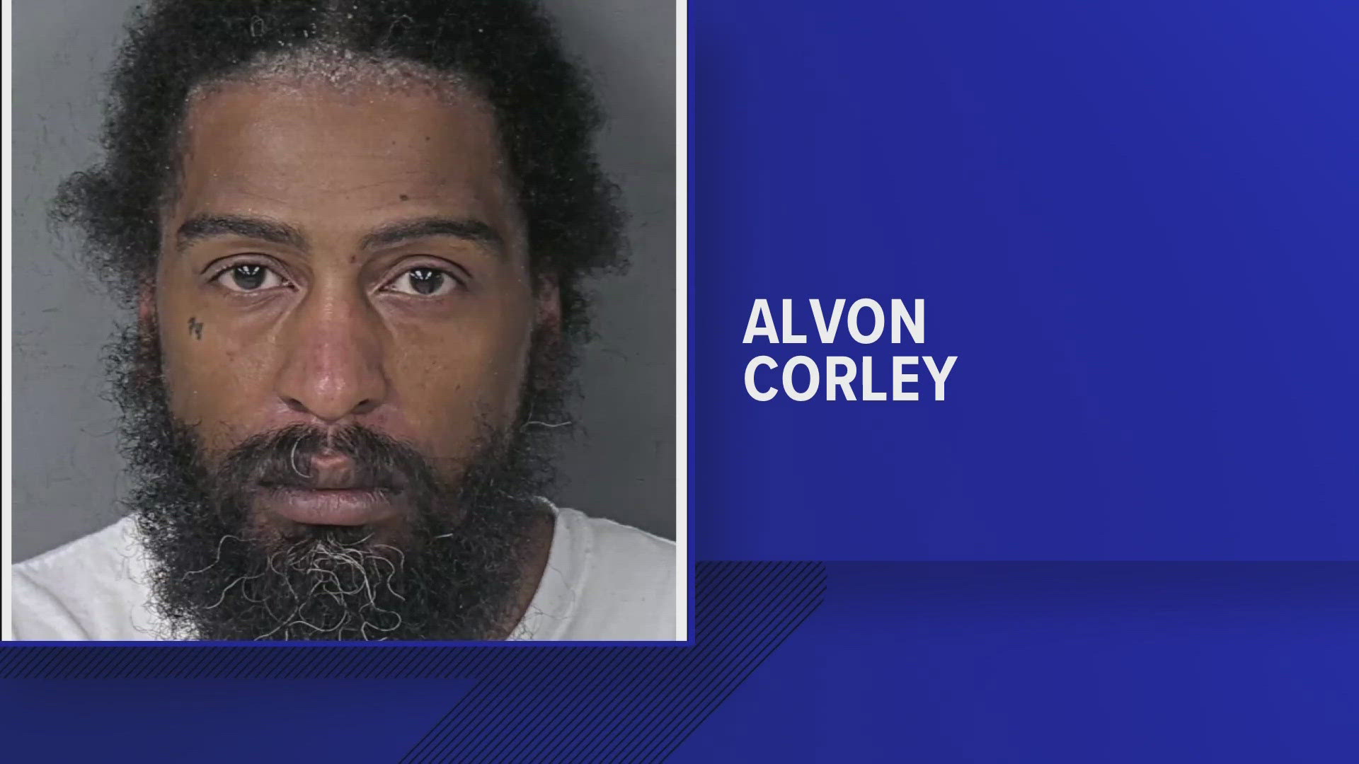 Spring Hill man accused of 'unlawfully' boarding school bus, making ...