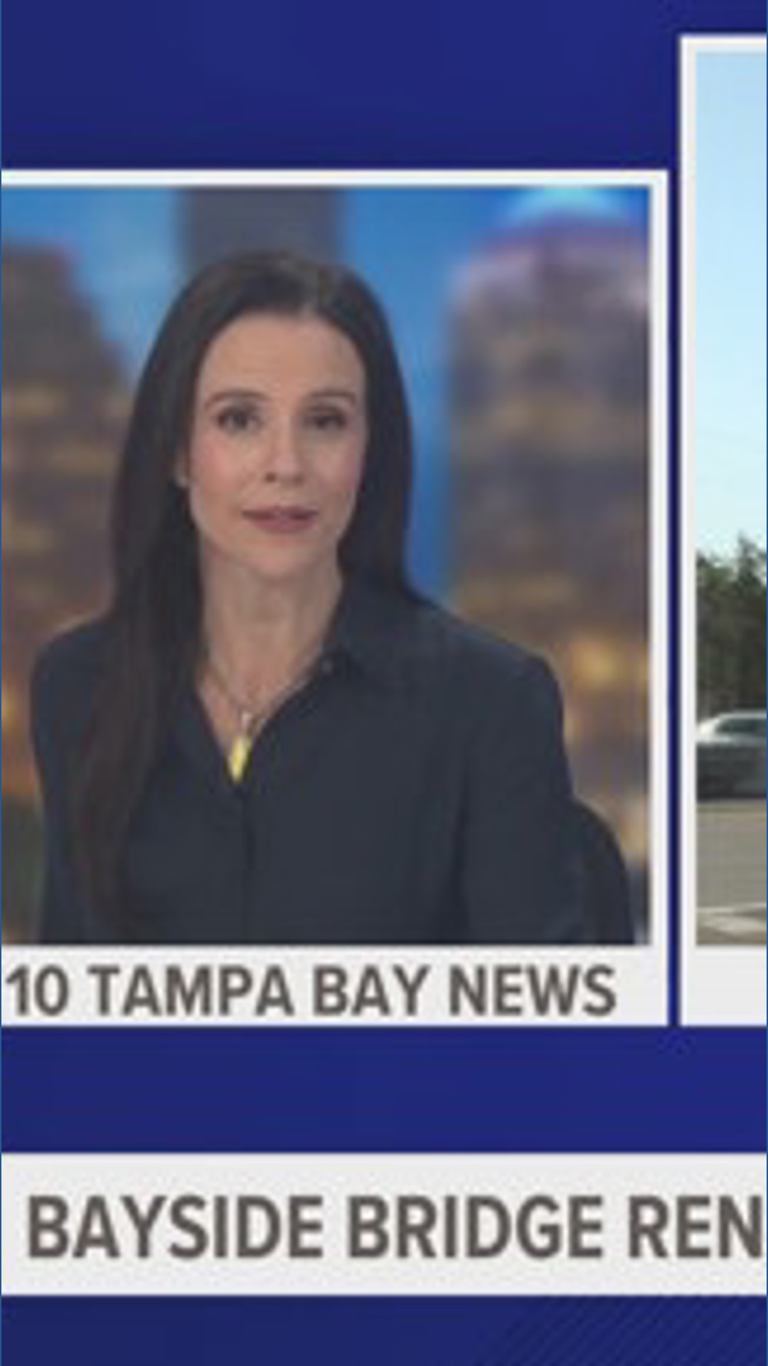 Bayside Bridge new name signs unveiled in Pinellas County | wtsp.com
