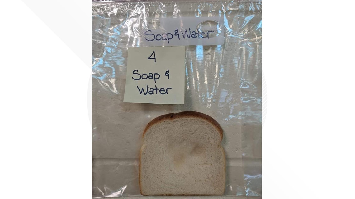 Idaho teacher's experiment shows importance of washing hands | wtsp.com