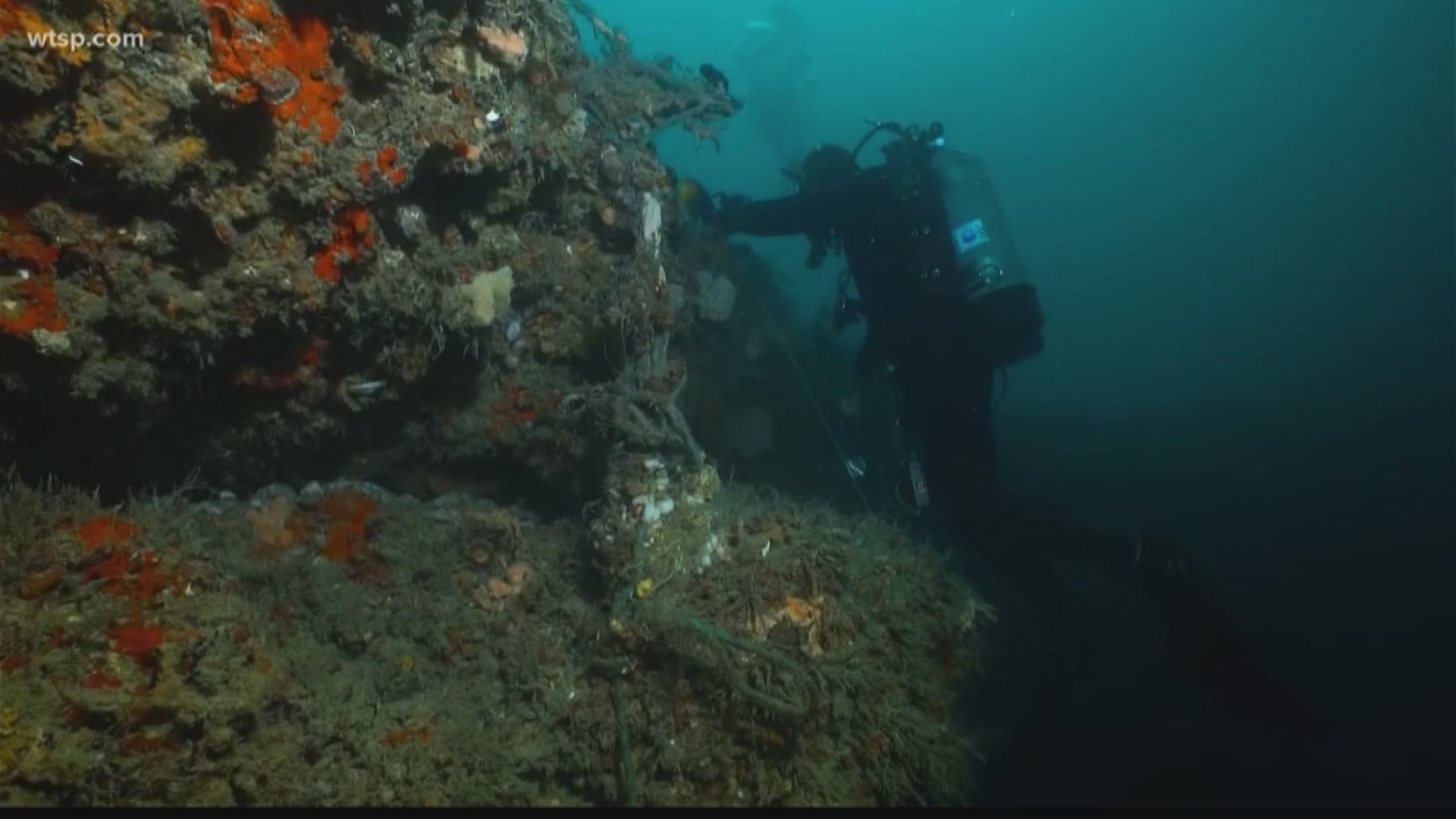 Mote pioneers research of Blue Holes in the Gulf of Mexico | wtsp.com