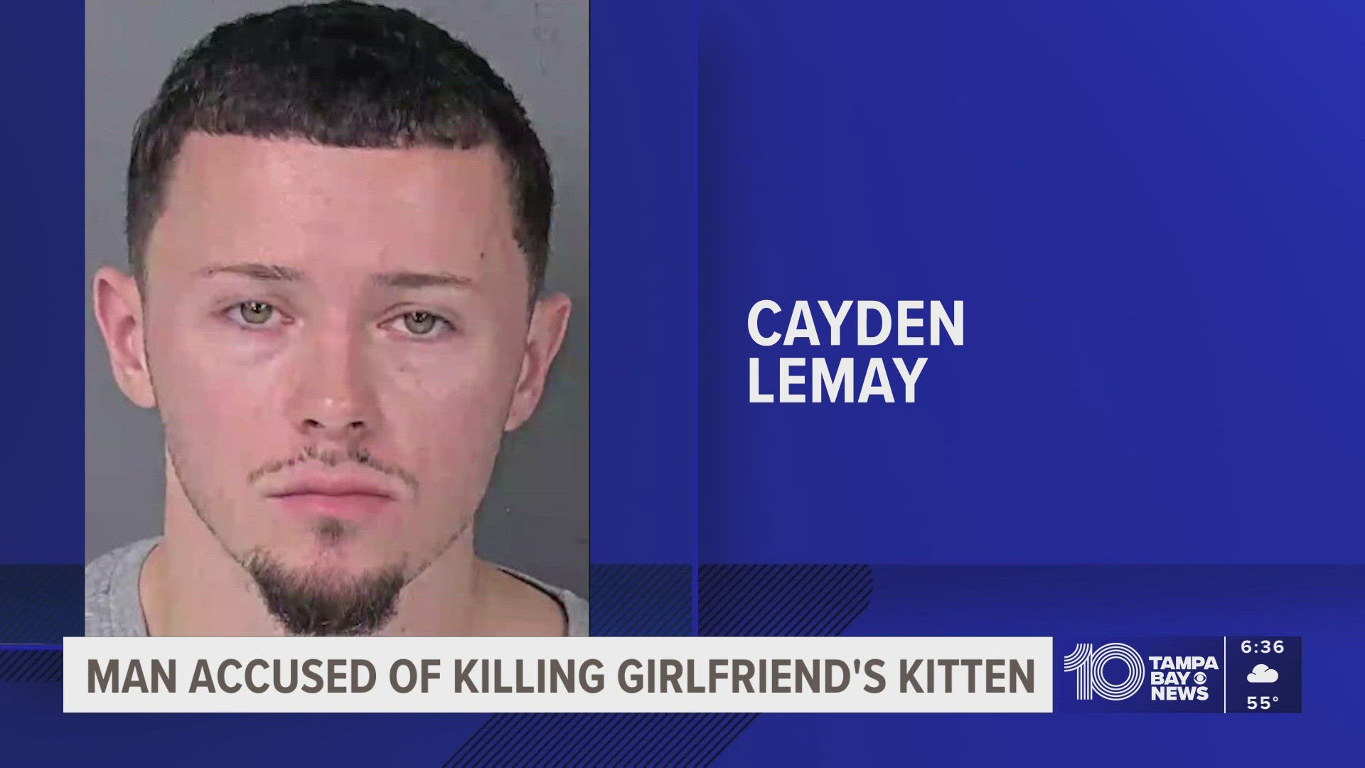 Person hospitalized after fire at Spring Hill assisted living center ...