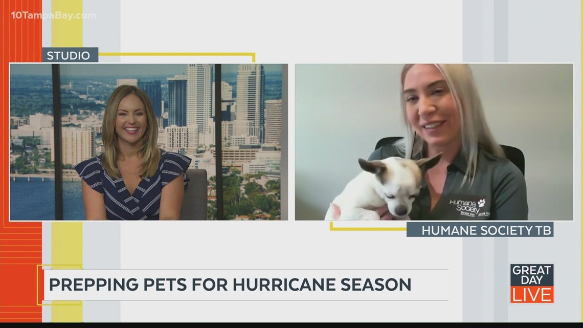 Hurricane season prep for your pets | wtsp.com