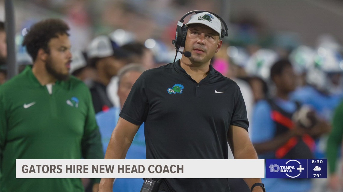 Florida Gators hire new head coach | wtsp.com