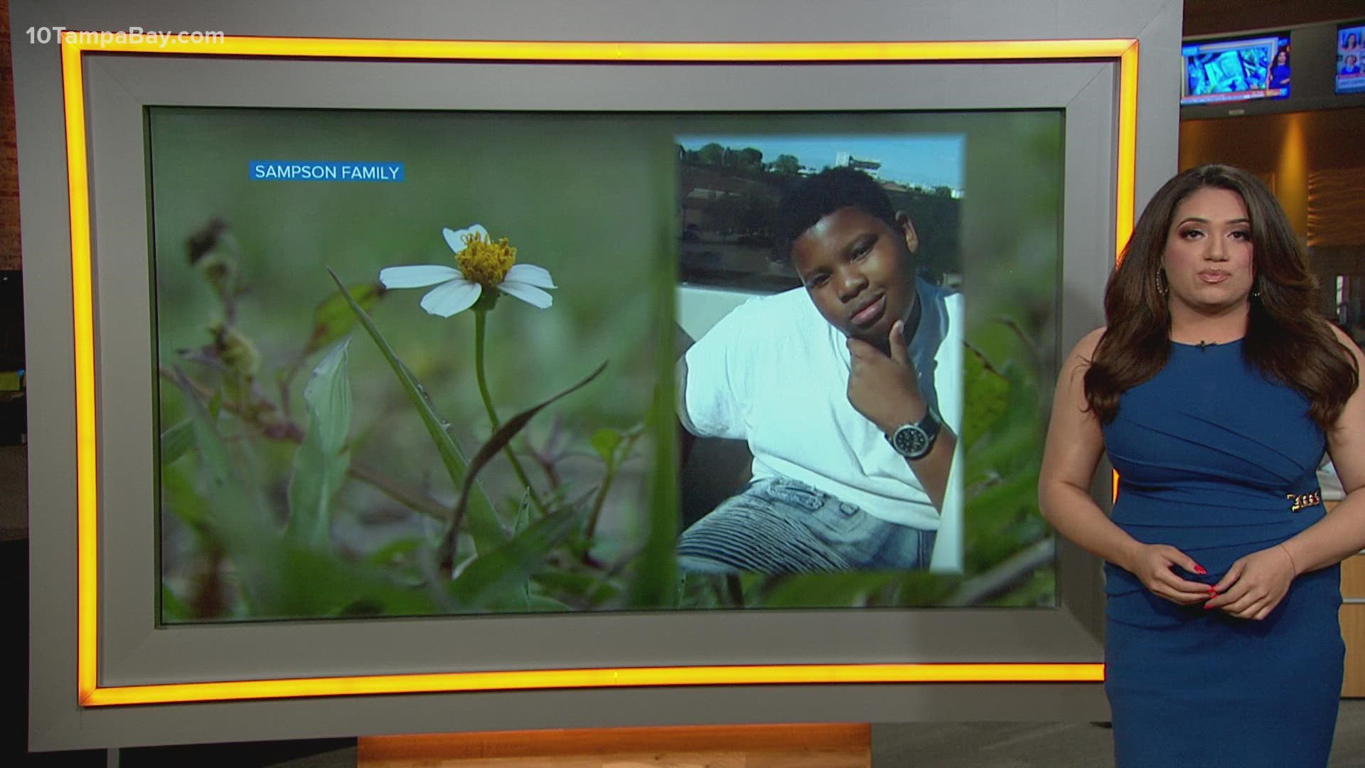 Snakes in Florida: A guide to venomous and non-venomous snakes | wtsp.com