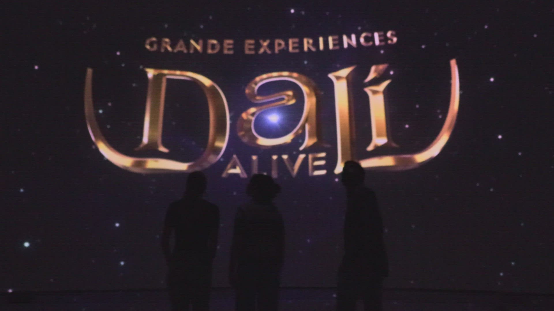 A look at the new immersive art exhibit Dalí Alive 360° | wtsp.com