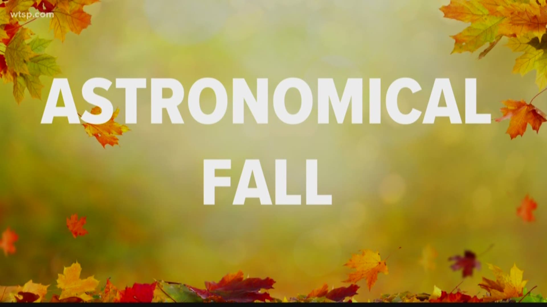 Beyond the Headline: Fall begins on Monday | wtsp.com