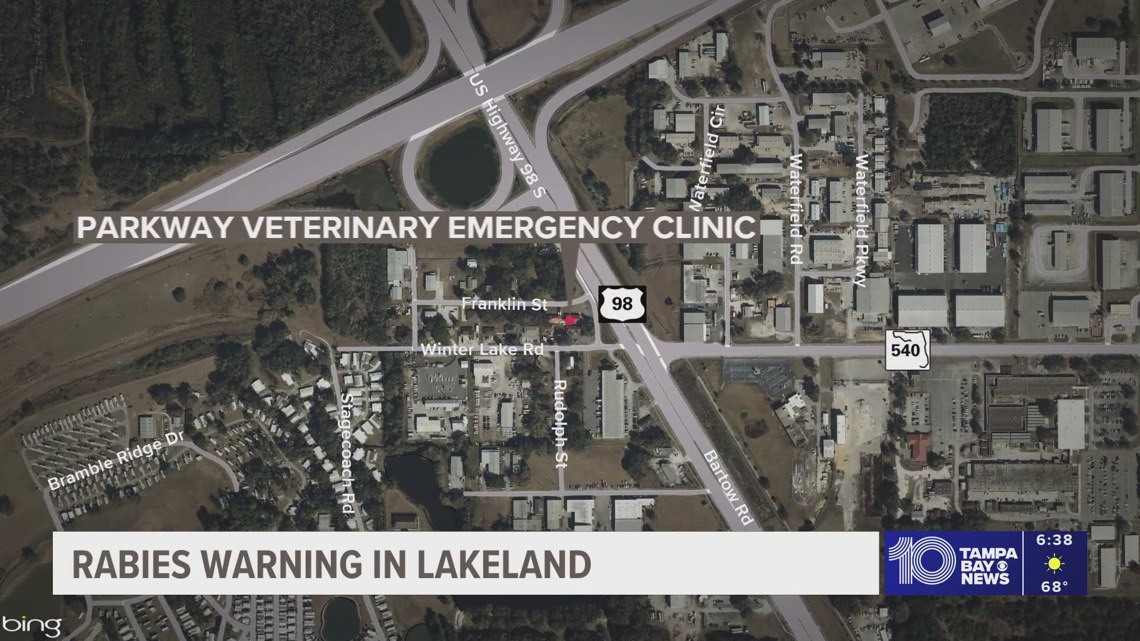 Rabies case confirmed in Polk County; 1st of the year | wtsp.com
