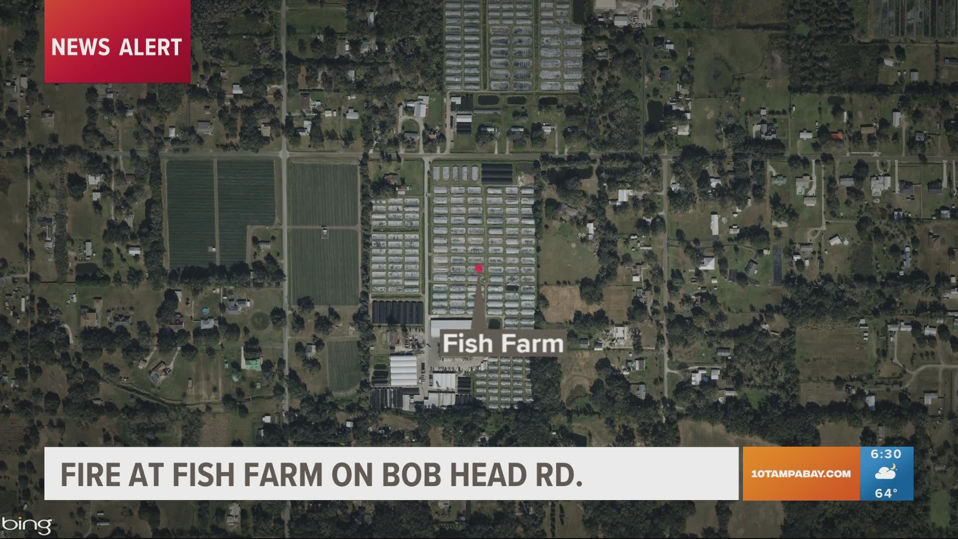 Firefighter injured while crews battled fire at Plant City fish farm ...