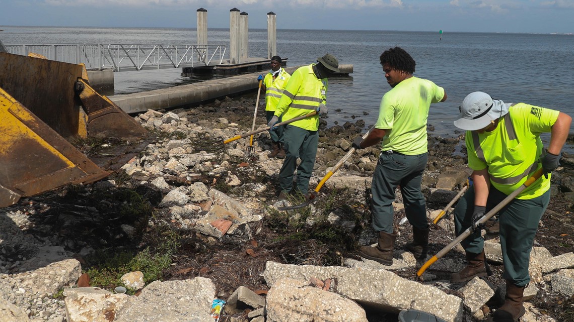 FWC: Red tide conditions slightly better this week | wtsp.com