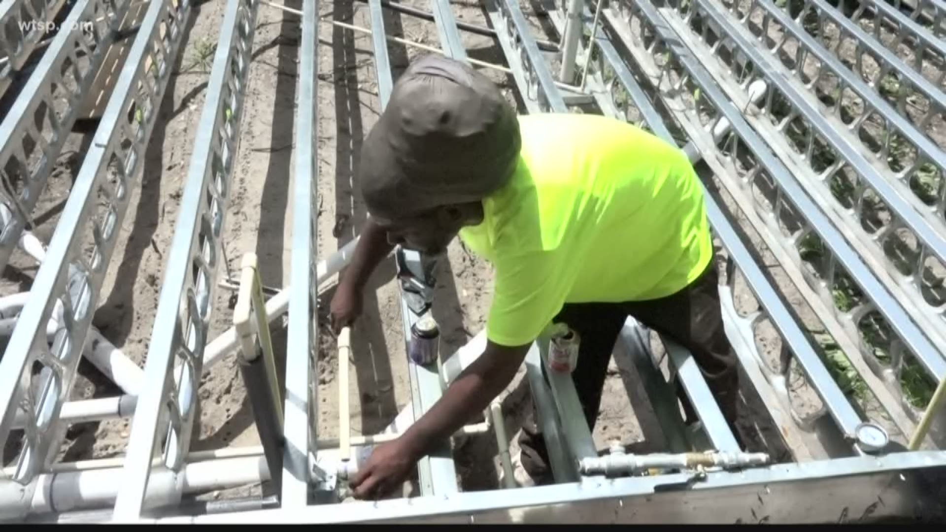 Pinellas prisoner re-entry program funding to be extended | wtsp.com