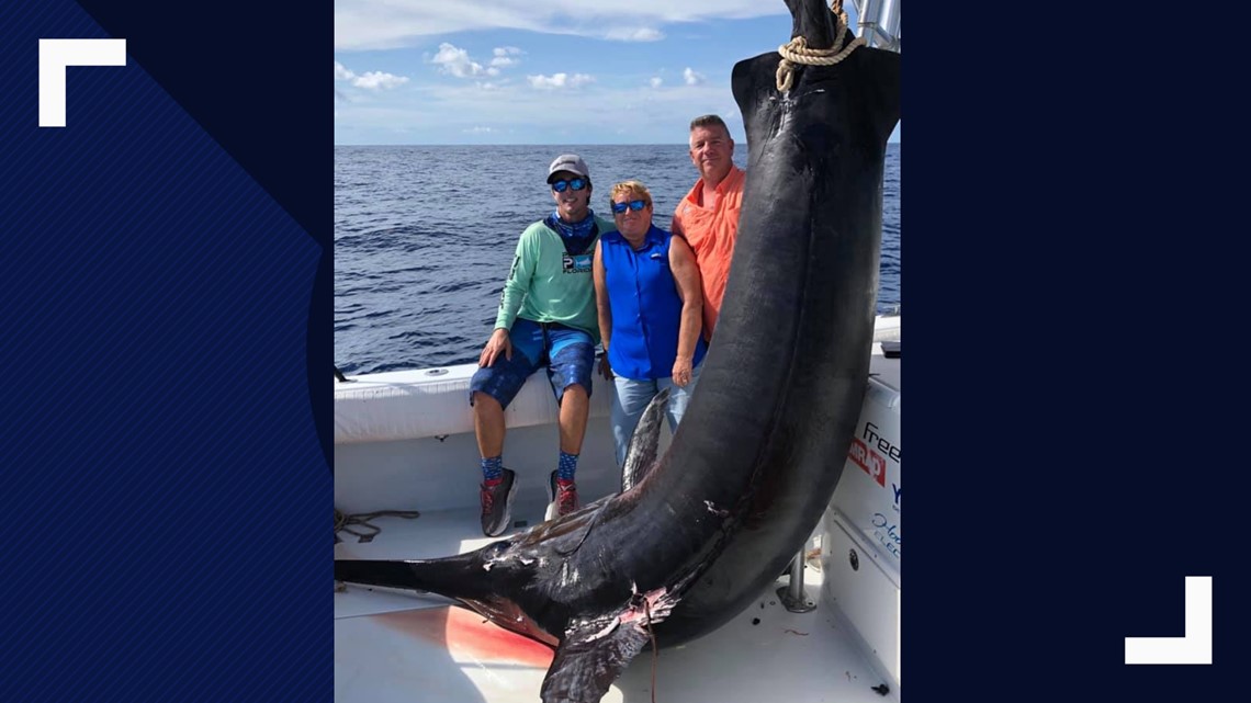 Florida couple reels in massive swordfish | wtsp.com