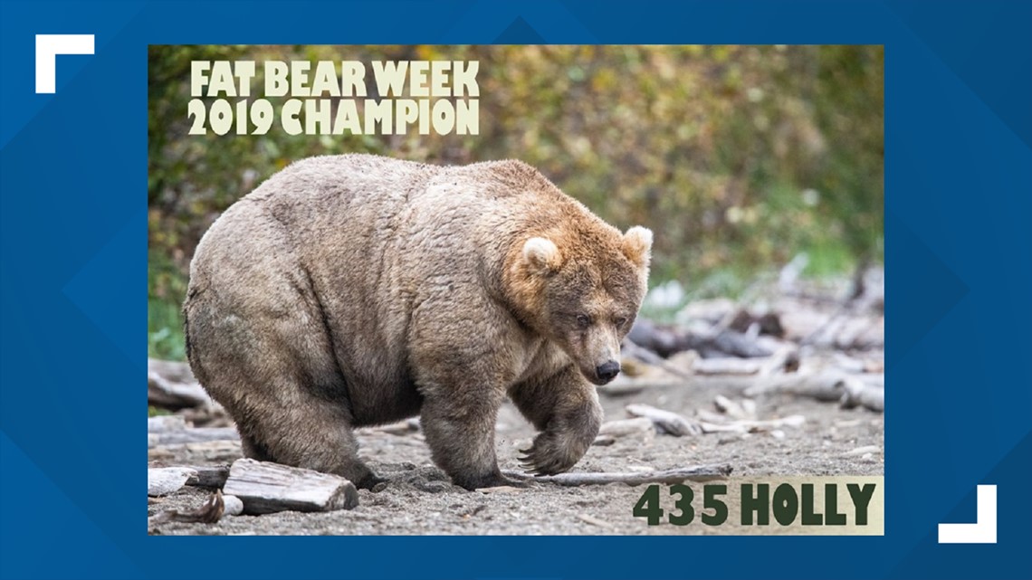 Holly is your 2019 Fat Bear Week champion | wtsp.com