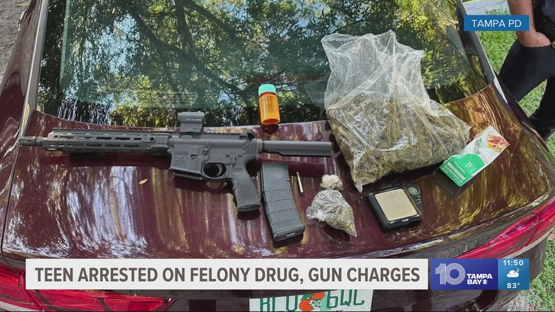 Tampa teen accused of having gun, marijuana in car during traffic stop ...