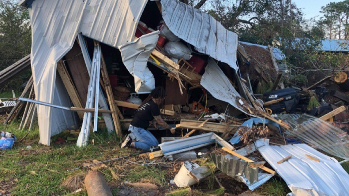 Tampa rescue helps animals after Hurricane Laura | wtsp.com