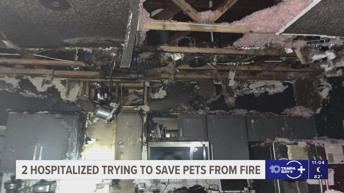 HCFR: Spring Hill house fire leaves 2 dogs dead, 2 people hospitalized ...