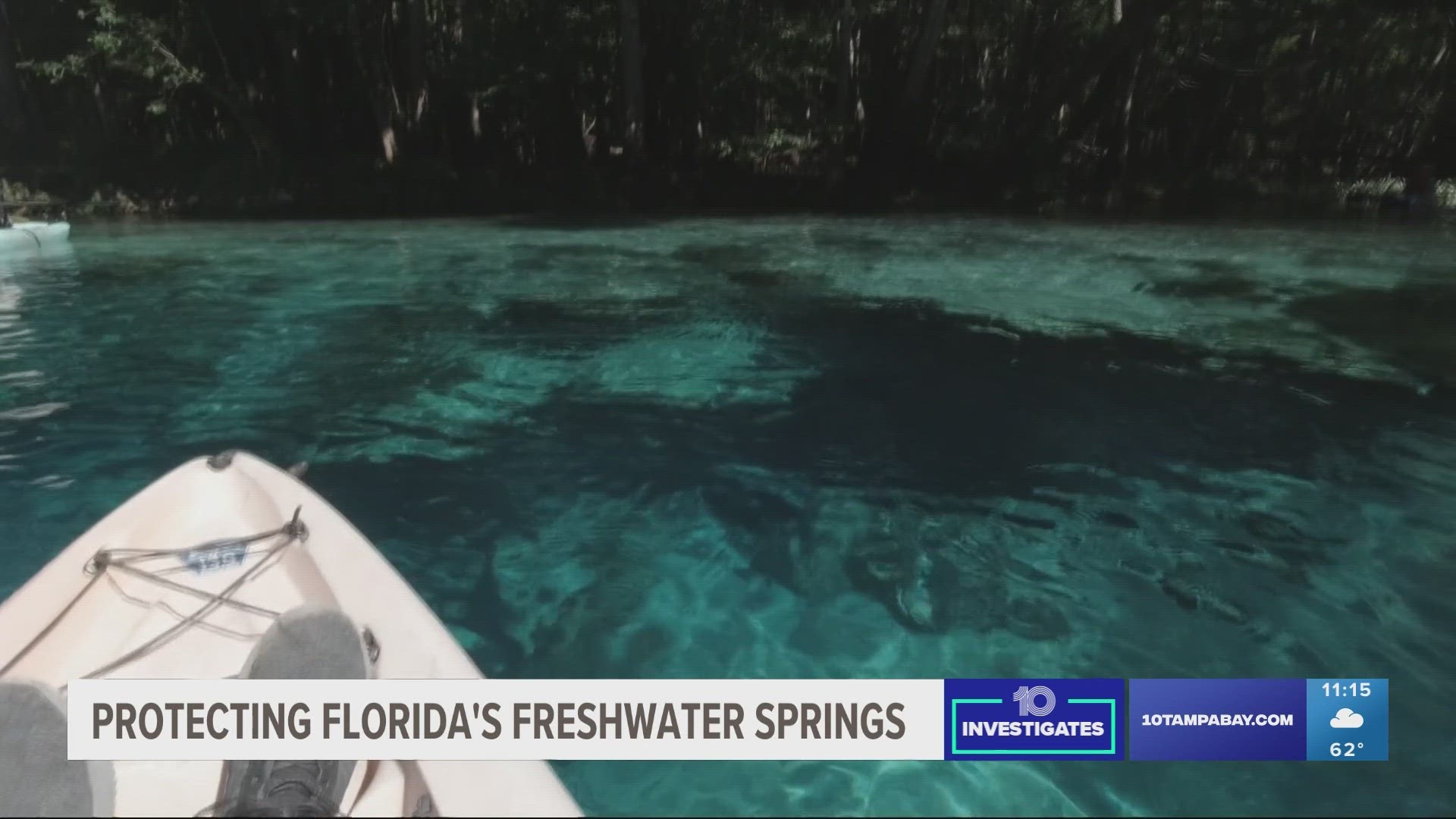 Report: Tesla driver lost scholarship before fiery crash | wtsp.com